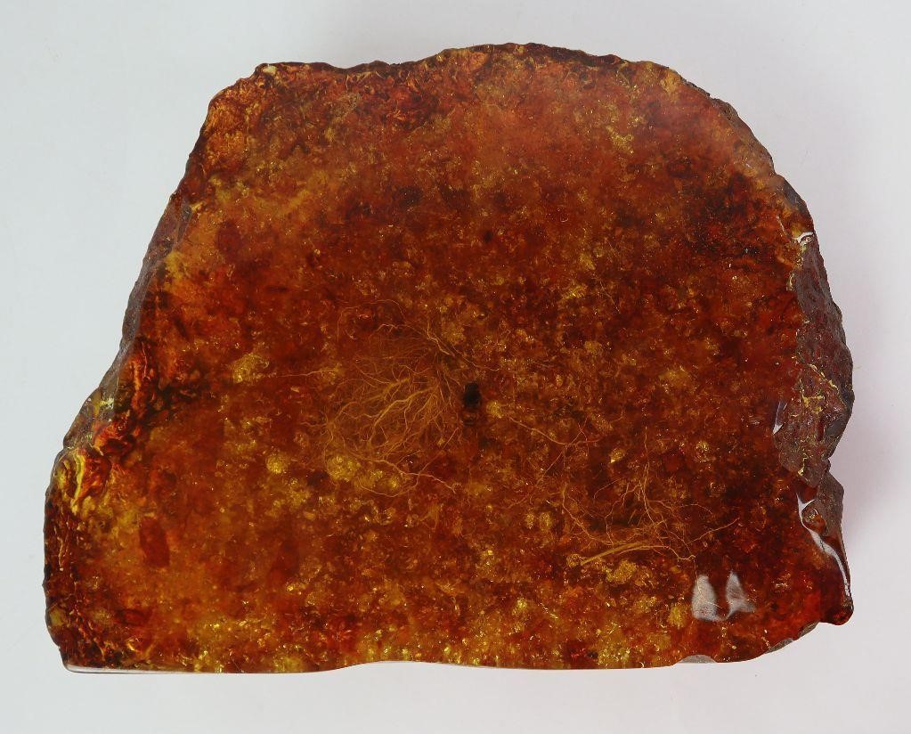 Upcoming Auctions - Davis Brothers Auction